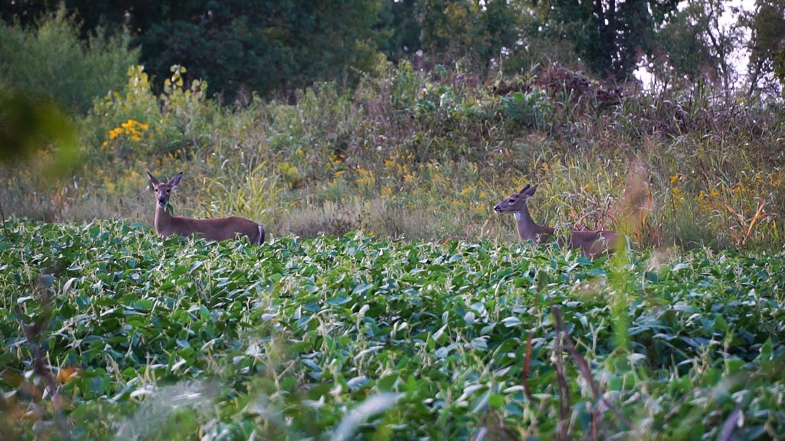 Lifestyle Line | Kaitlyn Maus Outdoors LLC